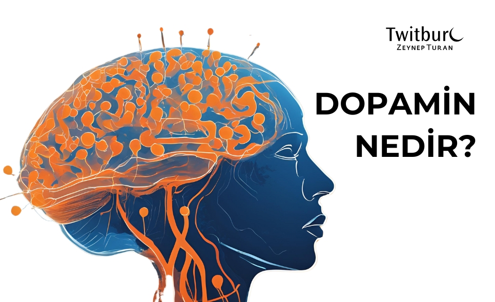 DOPAMİN NEDİR, ÜZERİMİZDEKİ ETKİLERİ NELERDİR?