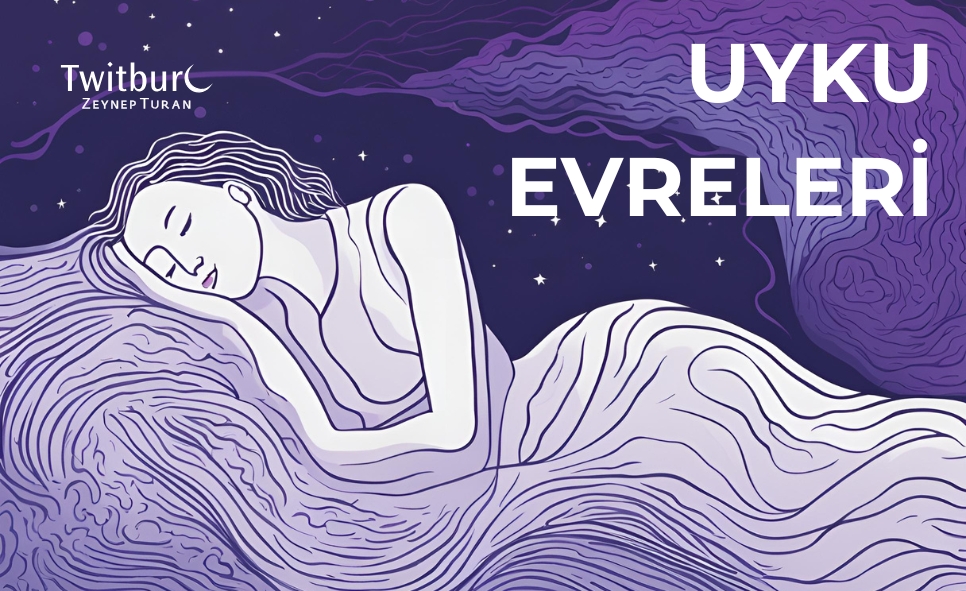 Uyku Evreleri, Süreleri ve REM Uykusu